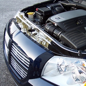 Radiator Covers | American Car Craft