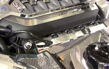 American Car Craft - Mustang Illuminated Fuel Rail Covers 5.0 GT 2Pc ...